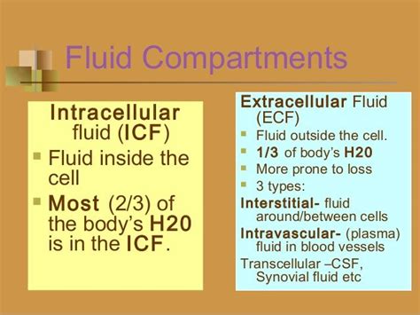 Extracellular Fluid