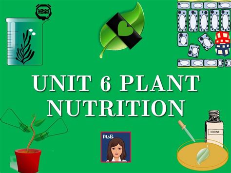 Gcse Plant Nutrition Lesson Resources Teaching Resources