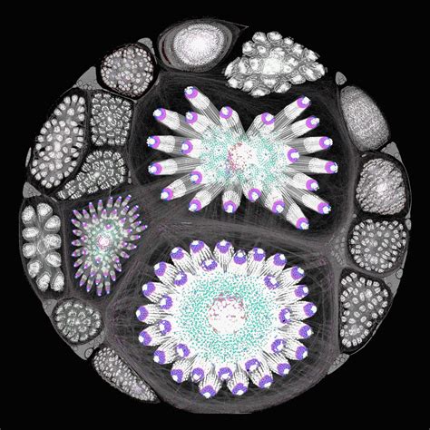 Machine Learning How Do You Visualize Neural Network Architectures Data Science Stack Exchange