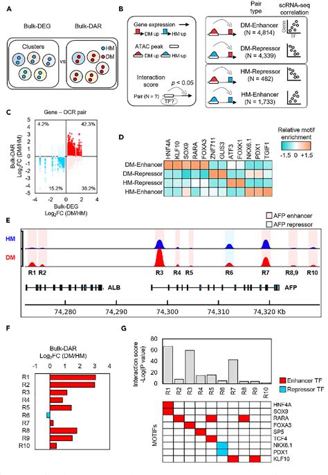 Figure From Integrative Analysis Of Single Cell RNA Seq And ATAC Seq Reveals Heterogeneity Of