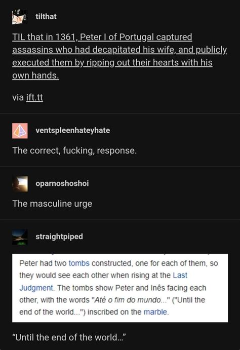 a tumblr