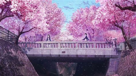 [100 ] Cherry Blossoms Anime Scenery Wallpapers