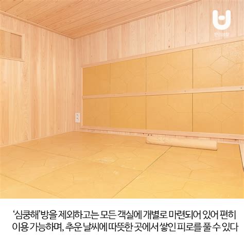 반려생활 애견동반 찜질방이 있다고