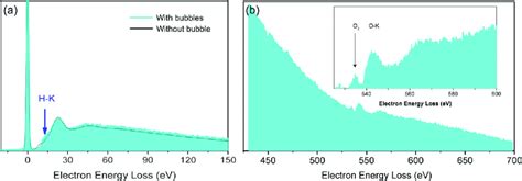 Eels Detection For The Bubbles A Eels Comparison For The Bubbles In Download Scientific