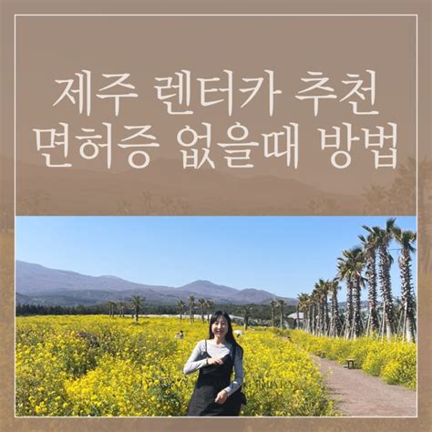 제주 렌트카 추천과 이용정보 운전면허증 없을 때 대처방법 네이버 블로그 제주 렌트카 추천과 이용정보 운전면허증 없을 때 대처방법 네이버 블로그