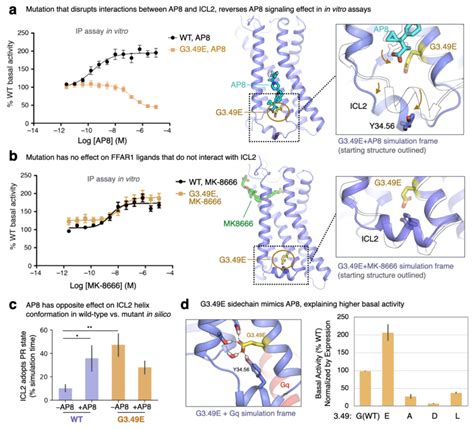 Mutagenesis Experiments Validate Computationally Derived Activation