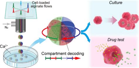 Analytical Chemistry Vol 96 No 34 Acs Publications