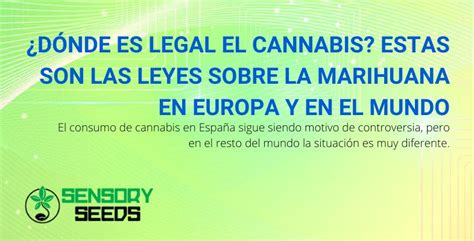 ¿donde Es Legal El Cannabis Leyes En Europa Y En El Mundo