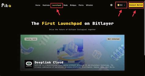 Pikas 100 City Hashrate Expansion Pika Innovation By Pika Official Oct 2024 Medium