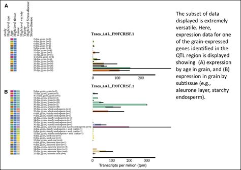 Getting The Most Out Of Rna Seq Data With Expvip Expression Visualization And Integration