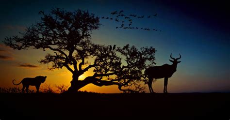 【最新版】大学院入試で必要なtoeicの点数を徹底解説！間に合わない場合は！？大学生の平均点と比較しながら傾向と対策をお伝えします【すぐ行動】 Earthians Journal