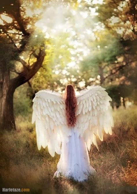 عکس پروفایل دخترانه رویایی بدون متن استوری و بک گراند