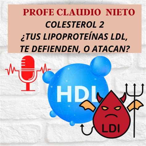 51 Descubre La Importancia De Tu Colesterol Ldl Hdl Y Vldl Profe