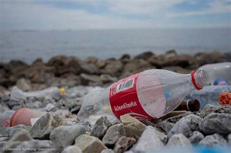 환경 평균 4시간 사용 분해에는 450년 일회용 페트병이 사라져야 하는 이유