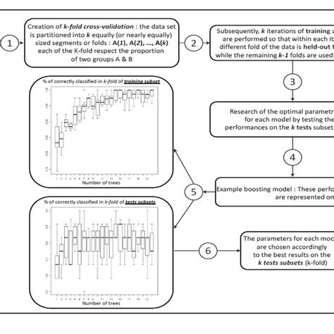 Model Parametrization Process Download Scientific Diagram