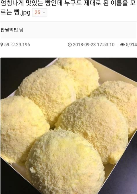 정말 맛있는 햄스터 궁딩이빵 유머 움짤 이슈 에펨코리아