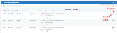 Report Db Archival Restoration Nms