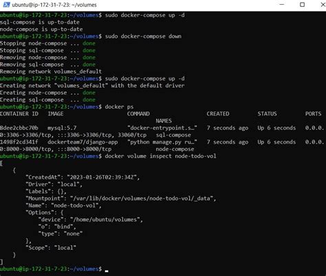 Docker Volume And Docker Compose