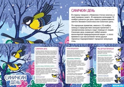 Синичкин день Папка передвижка все материалы для детей по теме «МААМ — картинки