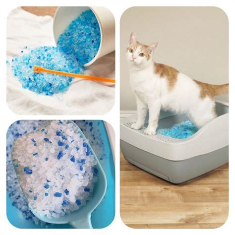 Pale Yellow Viscous Natural Gelling Agents Edible Gum Guar Powder