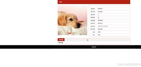 Springboot宠物救助管理系统 Csdn博客