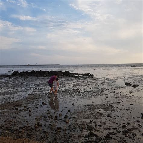 코니의서재 육아일상소통 카페힐링 엄마 나 바다 가고 싶어 그리고 오후 4시가 넘은 시각 느닷없이 가까운 바닷가에 다녀왔어요 바닷물이 빠진 시각에 도착해서인지
