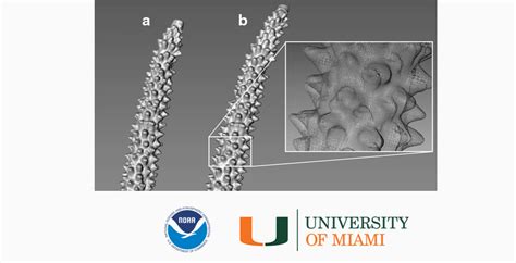 Polyga 3d Scanning Hardware And Software Home