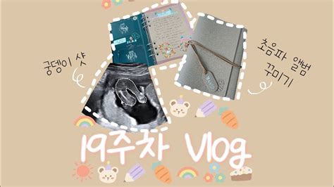 임산부 Vlog 19주차 초음파 앨범 꾸미기 달고 사는 루이보스 차 본격 먹산부 택배 언박싱 빨래건조대 조립