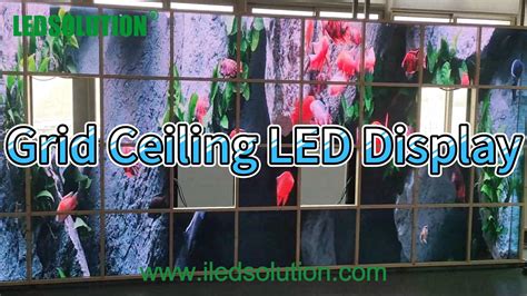 Grid Ceiling Led Display Ledsolution Led Display Led Screen Led
