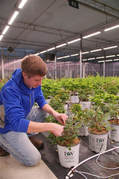 Adam Collopy On Linkedin Please Take A Look At These Great Scholarship Opportunities Thanks To…