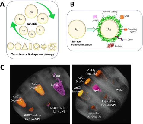 Important Properties Of Aunps Tunable Size And Shape A Ease Of Download Scientific Diagram