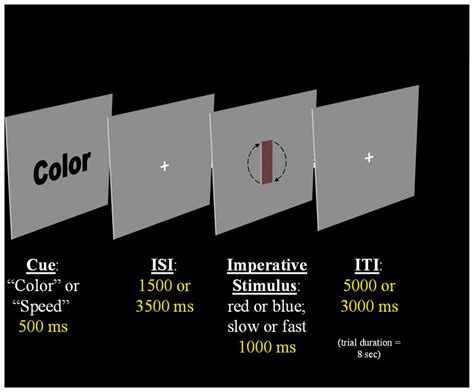 Task Switching Paradigm Shows An Example Of The Task Switching Download Scientific Diagram