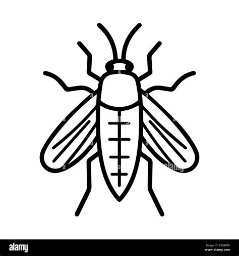 Midge Icon Or Modern Line Symbol Vector Line Art And Icon Design With