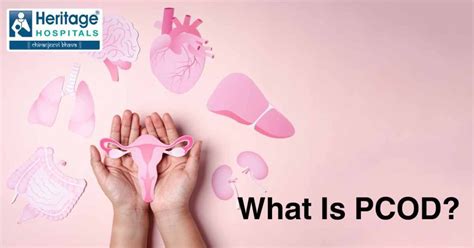 What Is Pcod Problem In Females