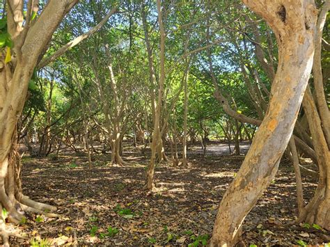 Why Envy Prevents True Friendship