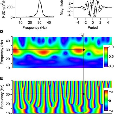 Wavelet Analysis Of Cch Induced Field Oscillation A Field Oscillation Download Scientific