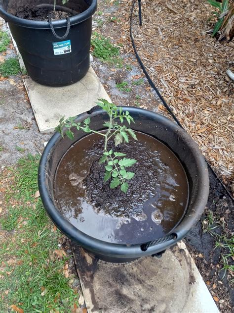 First Time Using A Huge Tub My Container Does Not Drain Correctly Even