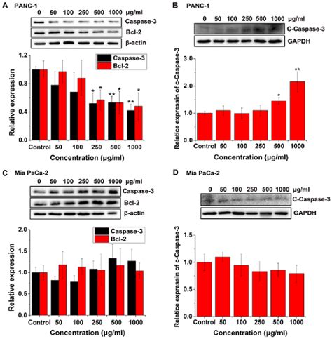 The Relative Protein Expression Levels Of Caspase 3 And Bcl 2 In A Download Scientific
