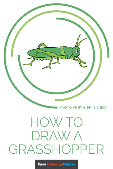 How To Draw A Grasshopper Really Easy Drawing Tutorial