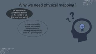 Restriction Mapping Physical Mapping Pdf Chemistry Science