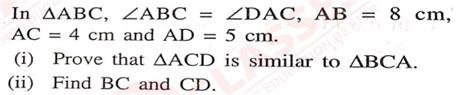 Class ICSE Maths Important Questions Chapter Similarity