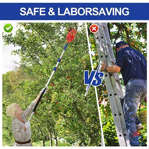 What Is A Fruit Picking Tool Blog