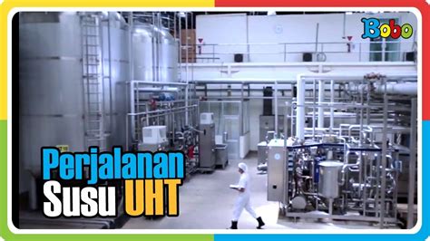 Proses Pembuatan Susu UHT Di Pabrik Susu Ultrajaya YouTube