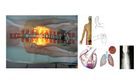 ПРИНЦИПИ Nugabest Makedonija