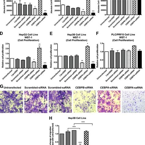 Regulation In Expression Of C Ebpα Downstream Targets P21 And Albumin Download Scientific
