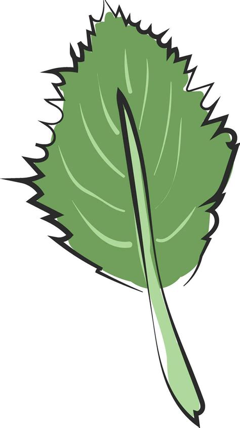Clipart Of An Ovate Green Leaf With A Margin And Alternate Venation