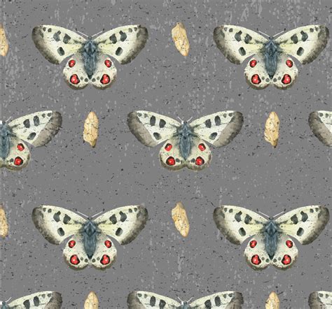 Butterfly Pattern Simplicity