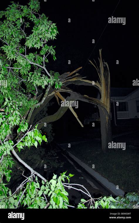 A Fallen Tree Which Has Pulled Down An Electric Line At Night Stock Photo Alamy