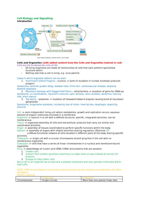 Cell Biology And Signalling Cell Biology And Signalling Introduction Cells And Organelles
