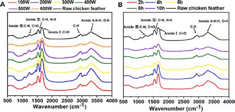 Ftir Spectrogram Of Regenerated Feather Keratin Treated For 2 To 10 H